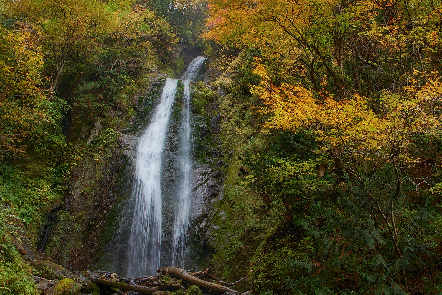 Chasing the 20 best waterfalls of Kyushu - Japan's Hidden Gems - JTB Travel