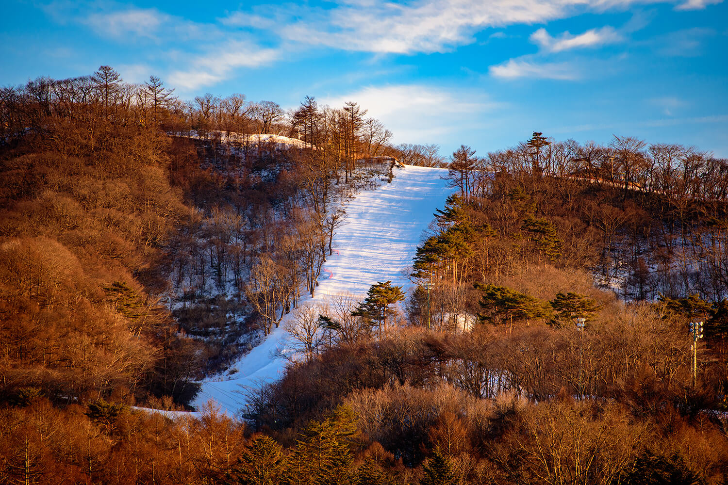 Top 4 Ski Resorts Near Tokyo for Families – Easy to Take Kids Around ...